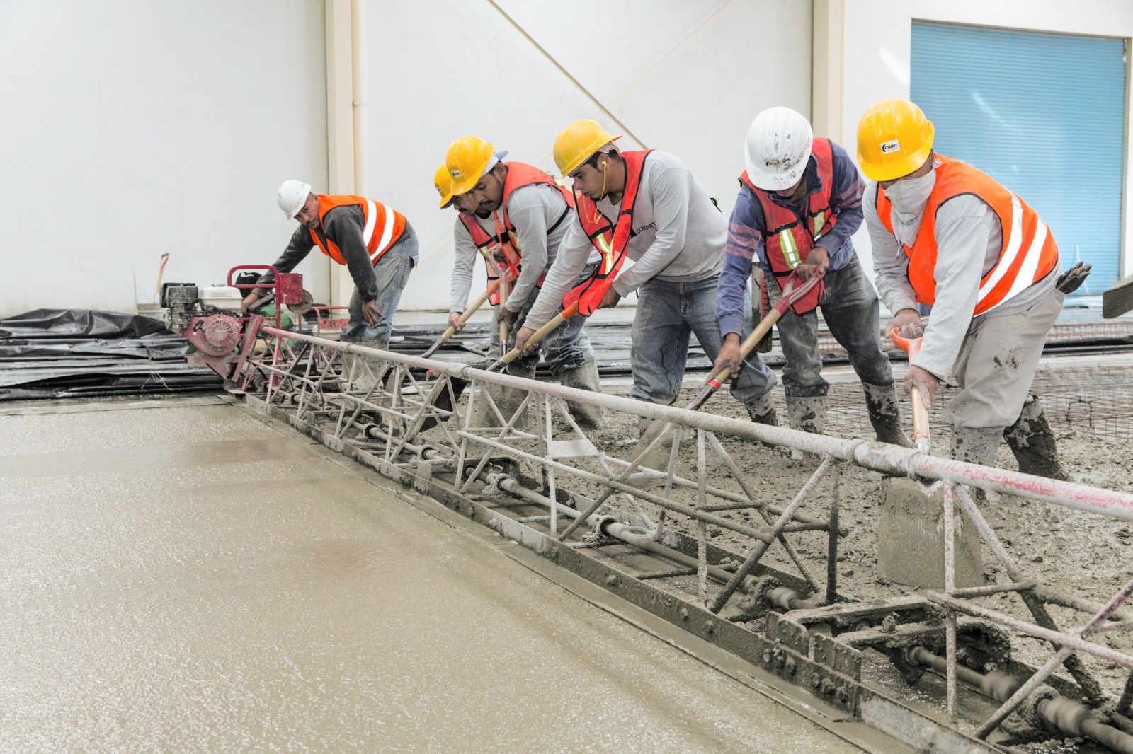 Alimentos Extruidos | ICHEP